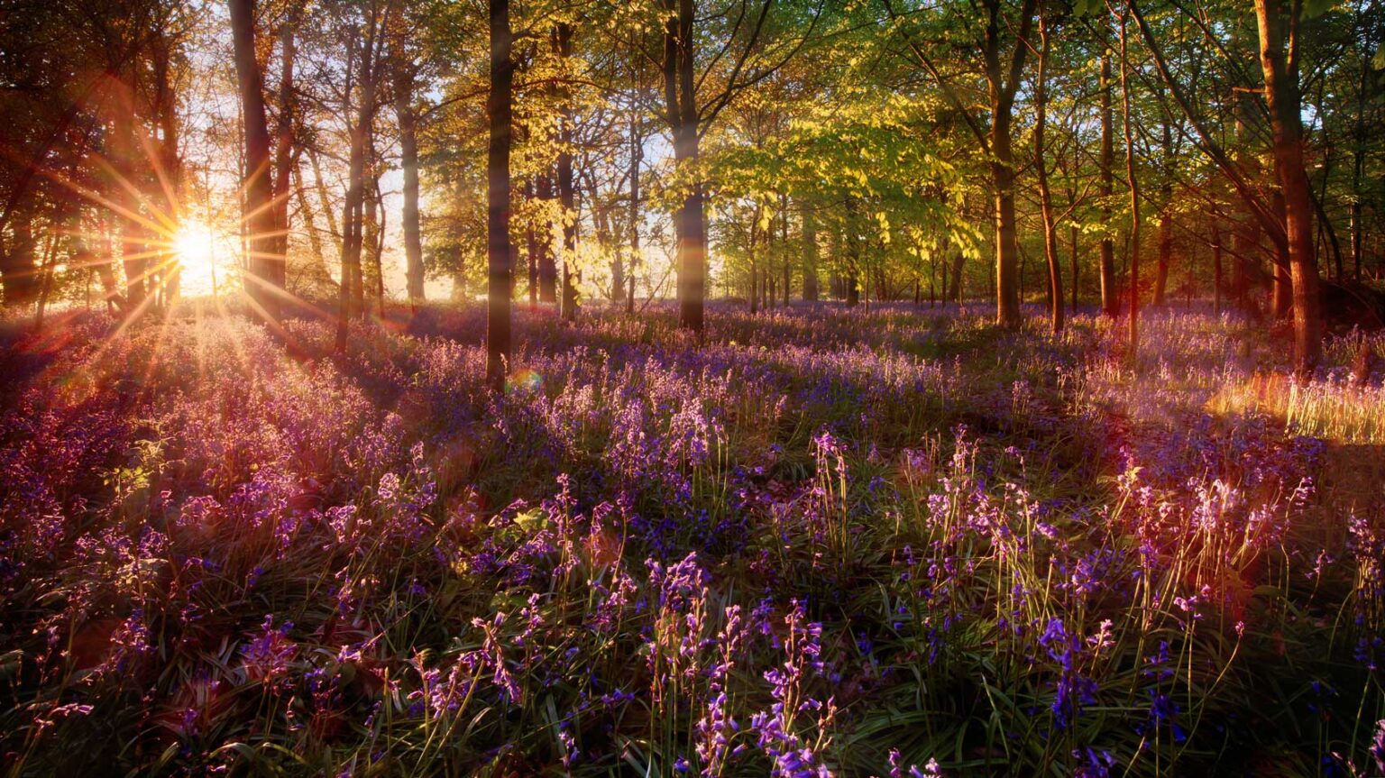 Daily Ponderables – Inspiration for Each Day