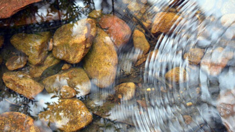 June 22 - Courage to Change - Daily Ponderables