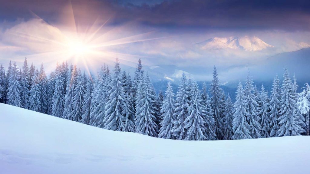 June 22 – One Day at a Time in Al-Anon - Daily Ponderables