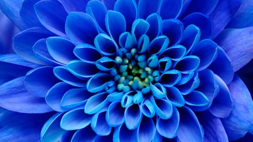 June 23 – One Day at a Time in Al-Anon - Daily Ponderables