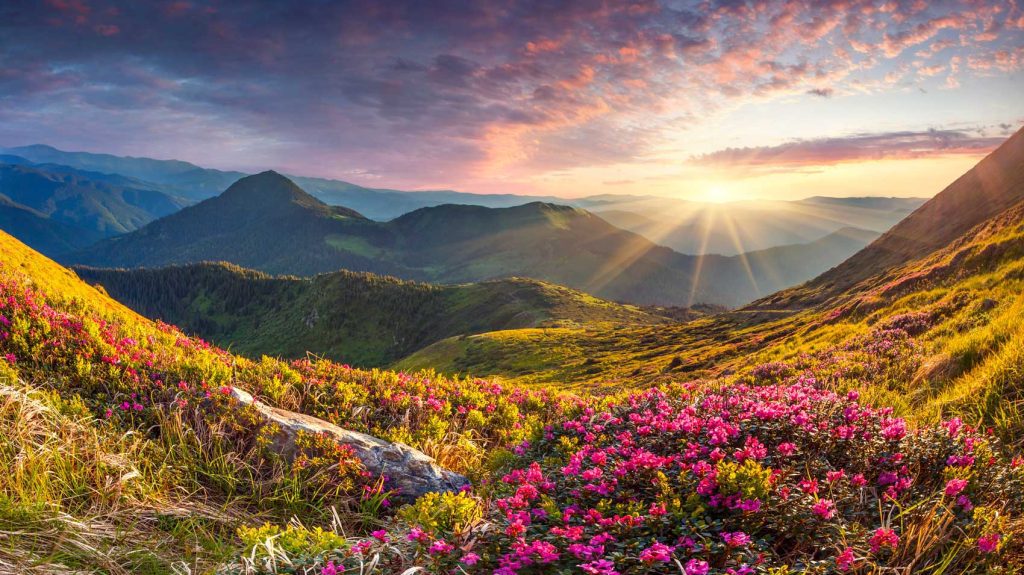 Daily Ponderables - Inspiration for Each Day